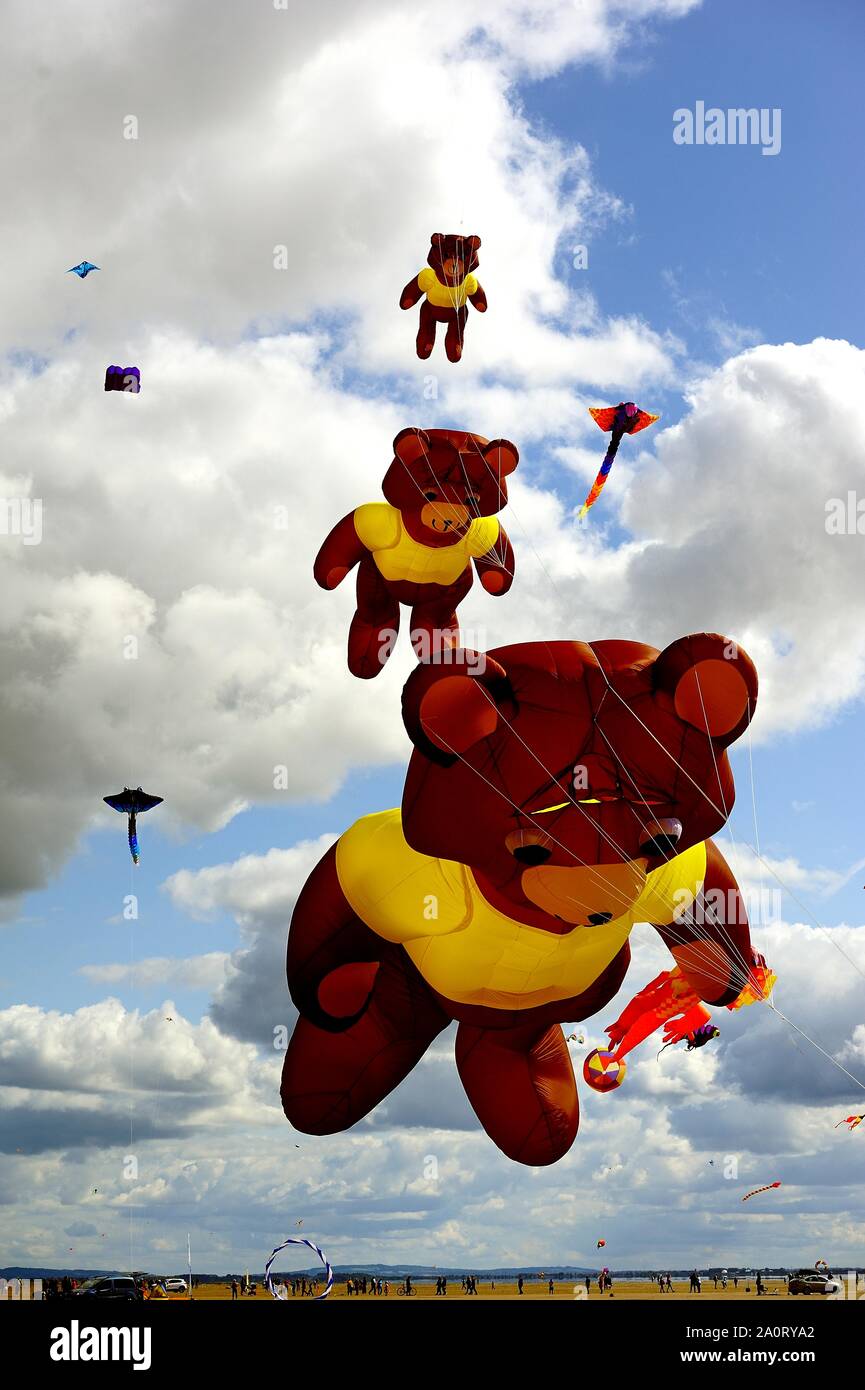 Three bears,beach, hi-res stock photography and images - Alamy