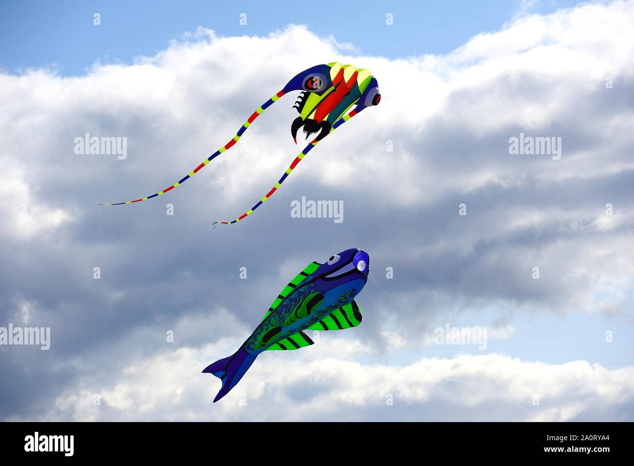 St Anne's, England - 7th September 2019:Fish and stingray kites flying ...