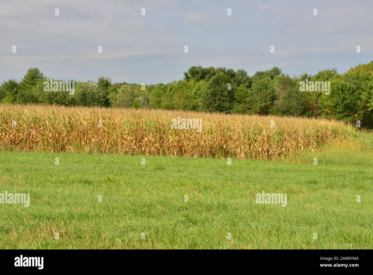 Gettsyburg the sight of the battle that took place from July 1-3 1863 ...