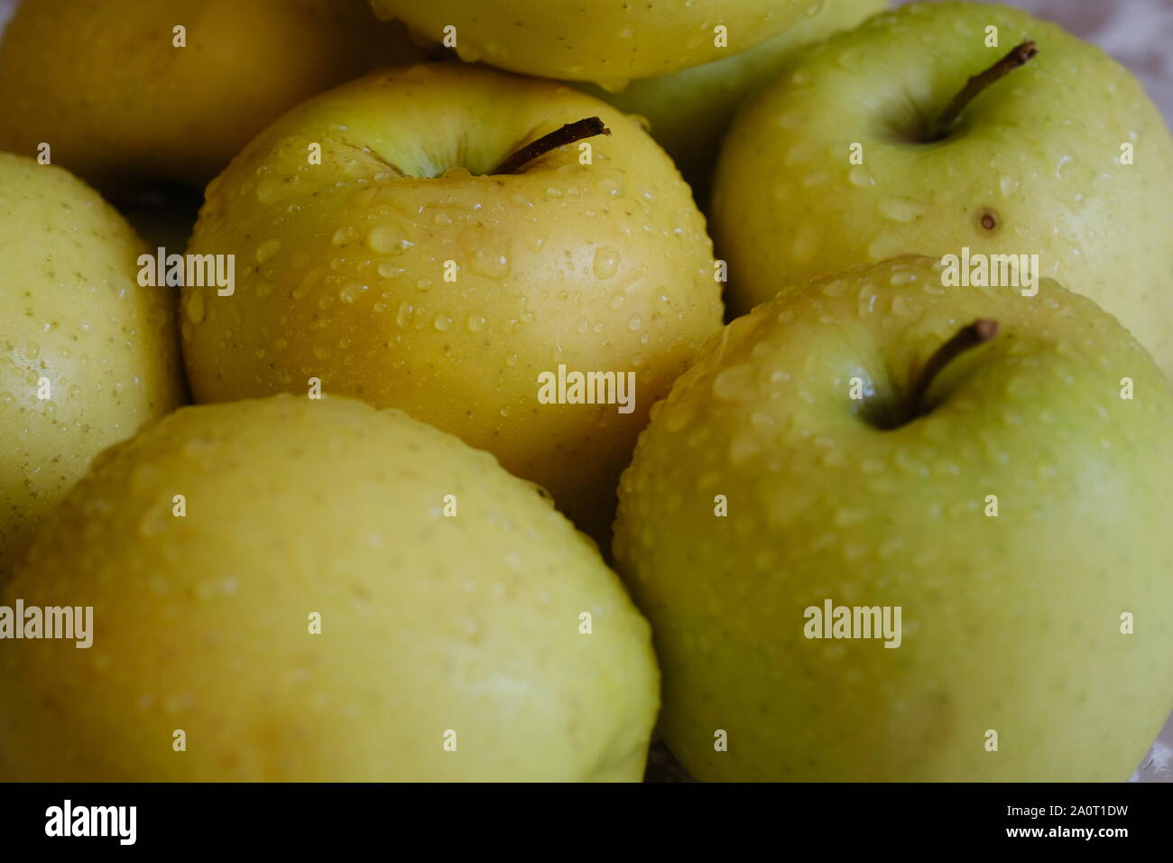 apples on a plate on the table in the kitchen. Chauntecleer apples ...