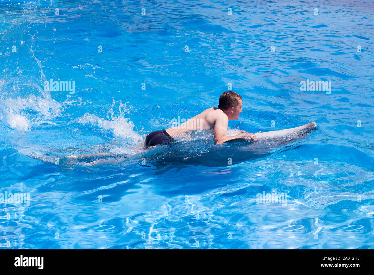Boy On A Dolphin High Resolution Stock Photography and Images - Alamy