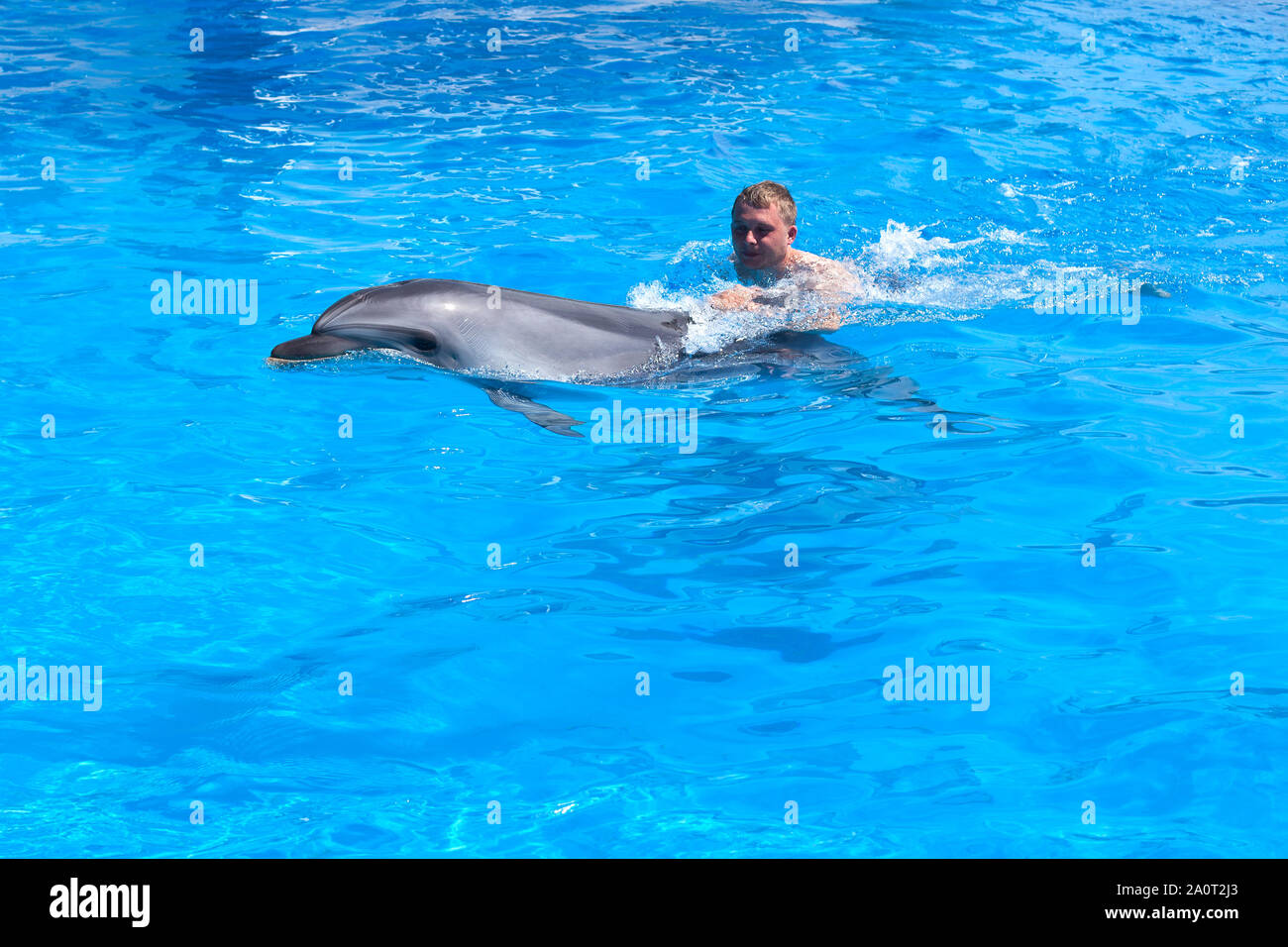 Man riding dolphin hi-res stock photography and images - Alamy