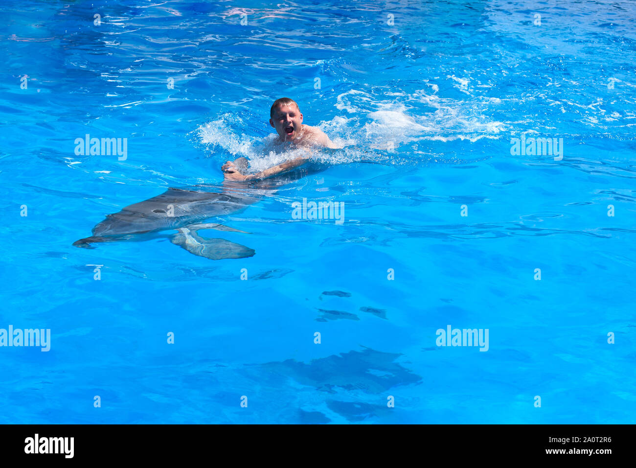 Man riding dolphin hi-res stock photography and images - Alamy