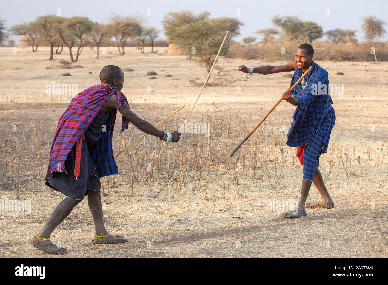 Masai warrior fight hi-res stock photography and images - Alamy