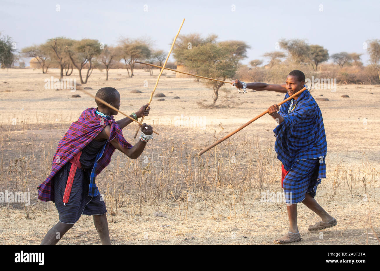 Masai warrior fight hi-res stock photography and images - Alamy