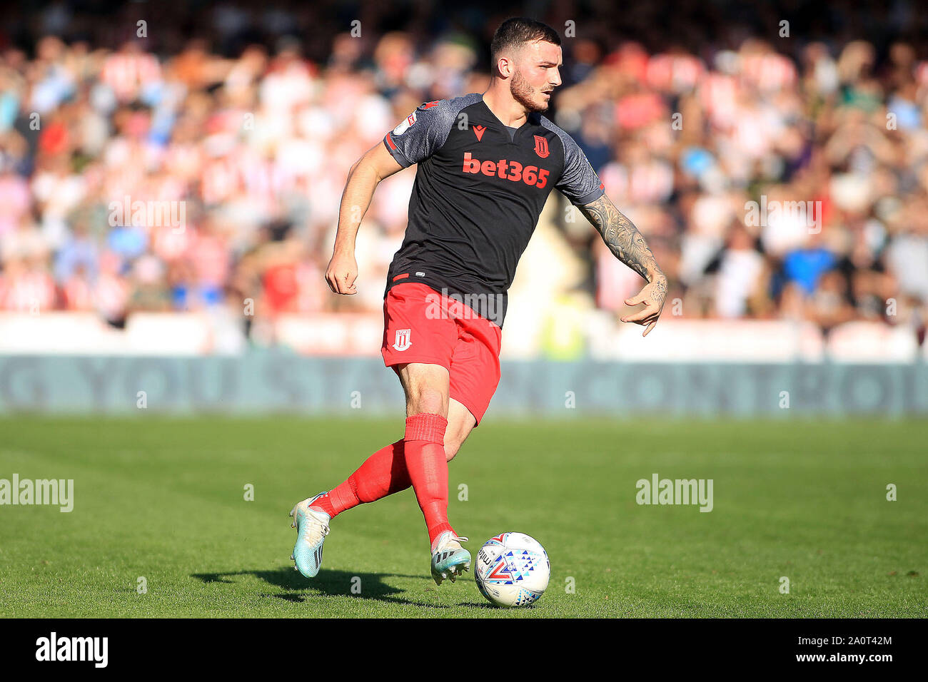 Tom edwards hi-res stock photography and images - Alamy