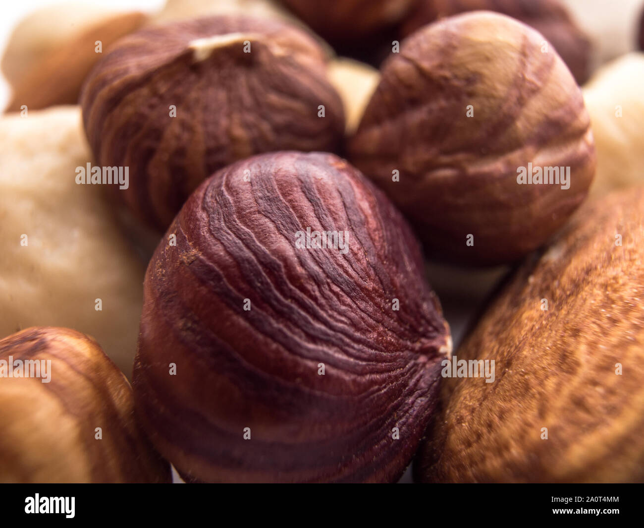 Nuts gather hi-res stock photography and images - Alamy
