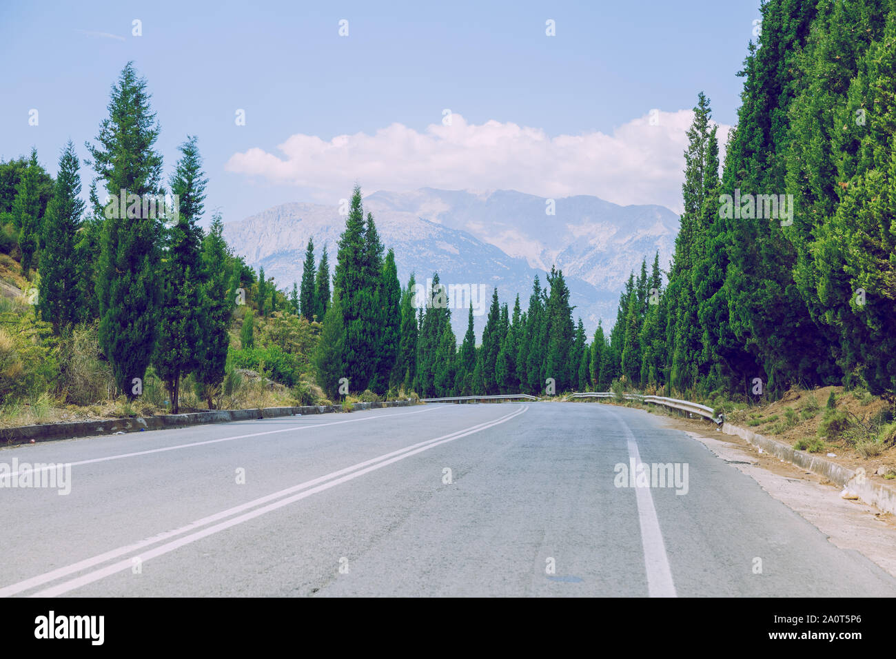 Greek Republic. Way and pines, grass and trees. 13. Sep. 2019 Stock ...