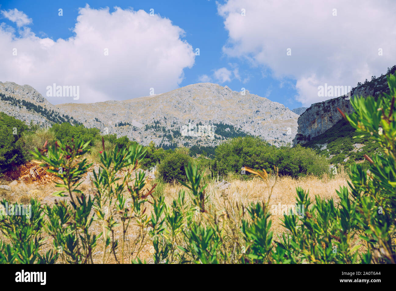 Greek Republic. Fields and mountains, grass and trees. In the distance ...