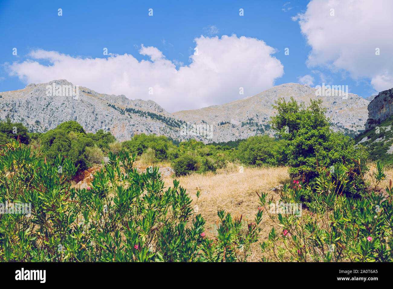 Greek Republic. Fields and mountains, grass and trees. In the distance ...
