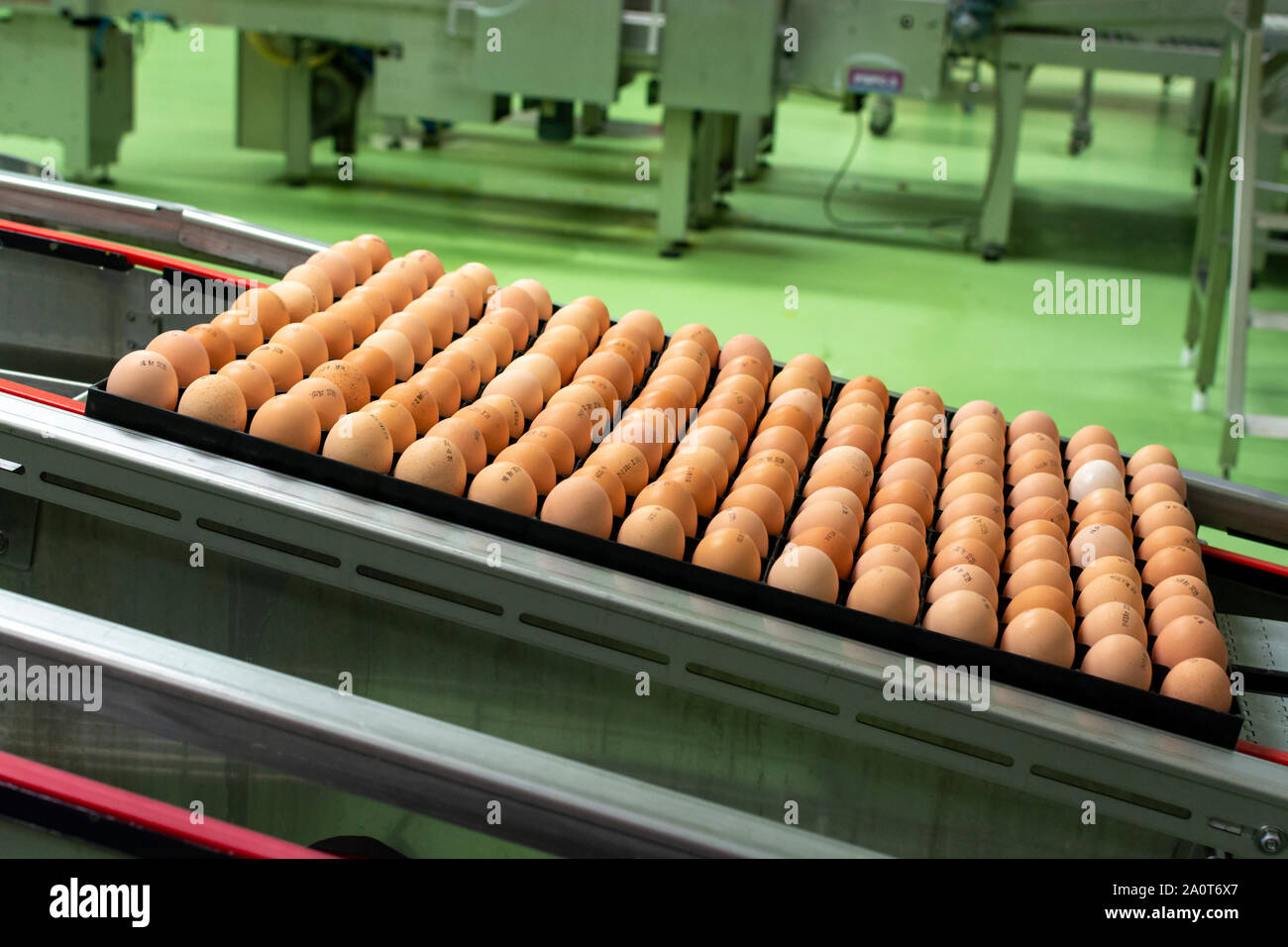 Modern packing, handling and transportation to incubators of high ...