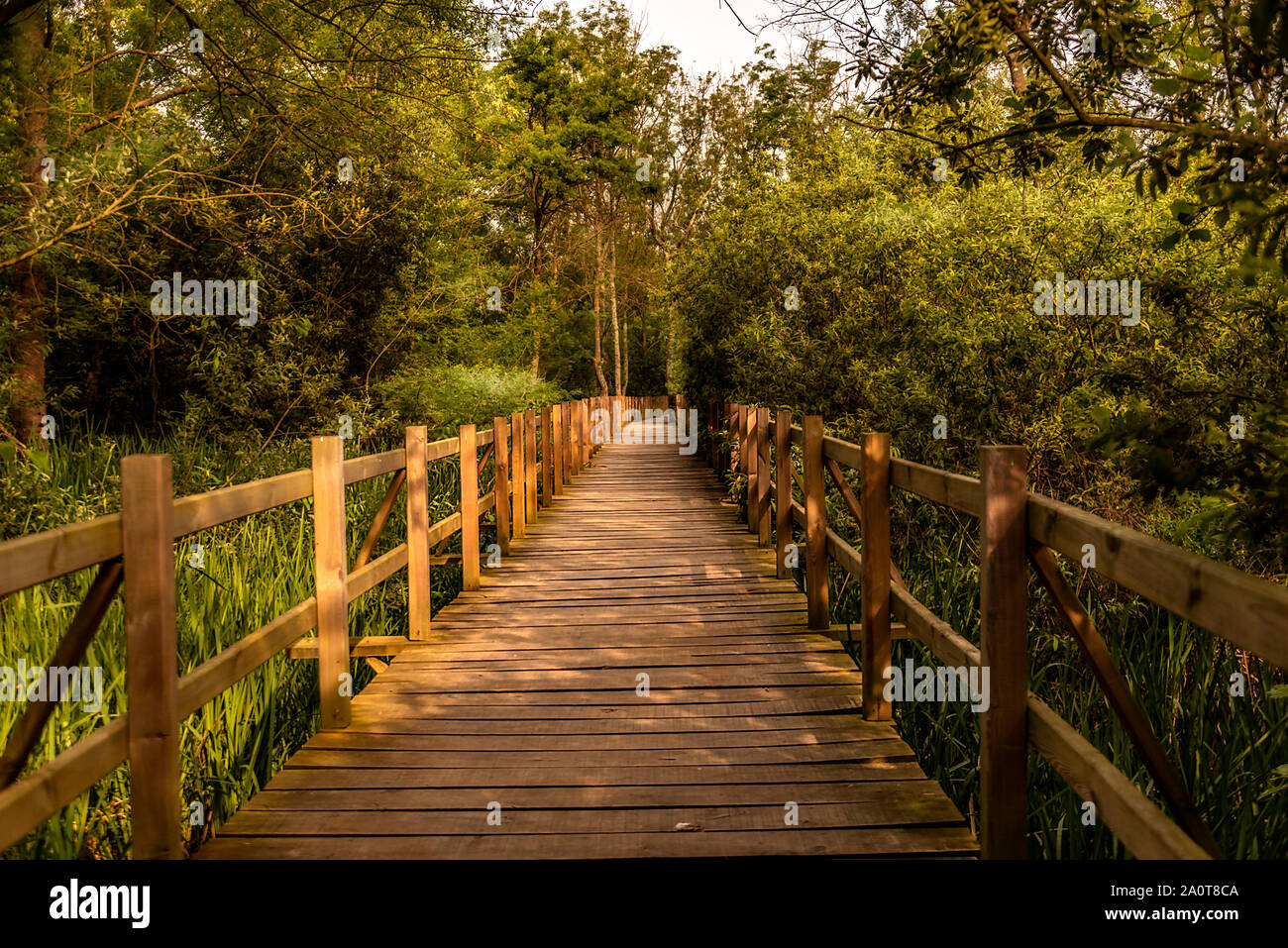 Sakarya karasu hi-res stock photography and images - Alamy