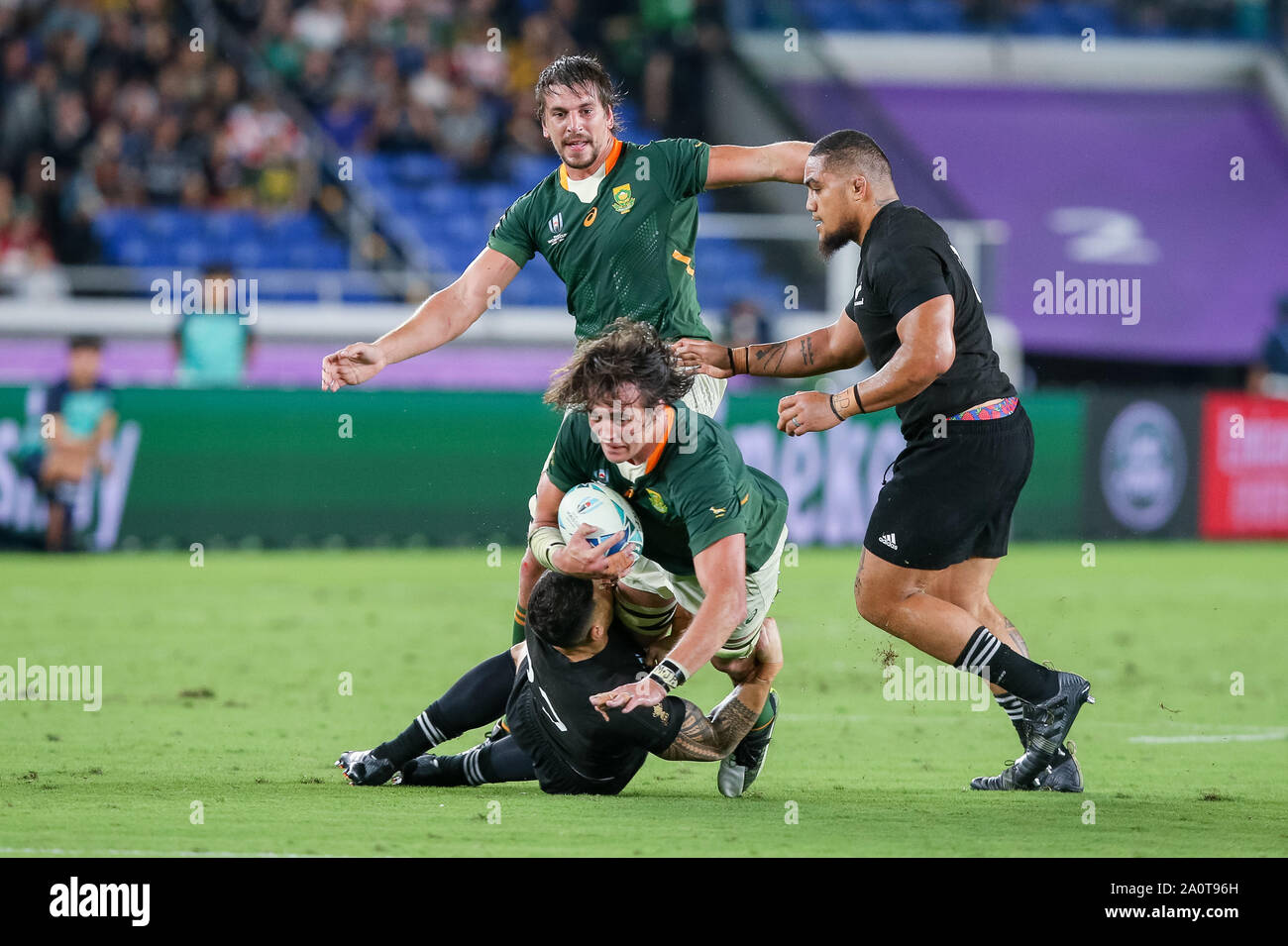 Franco mostert rugby south africa 2019 hi-res stock photography and ...