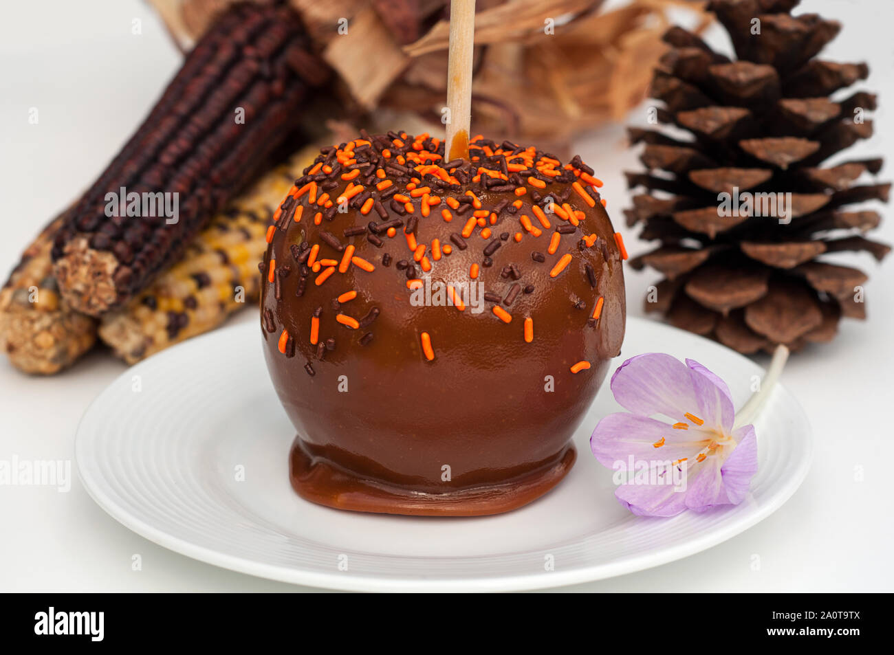 Caramel flower hi-res stock photography and images - Alamy