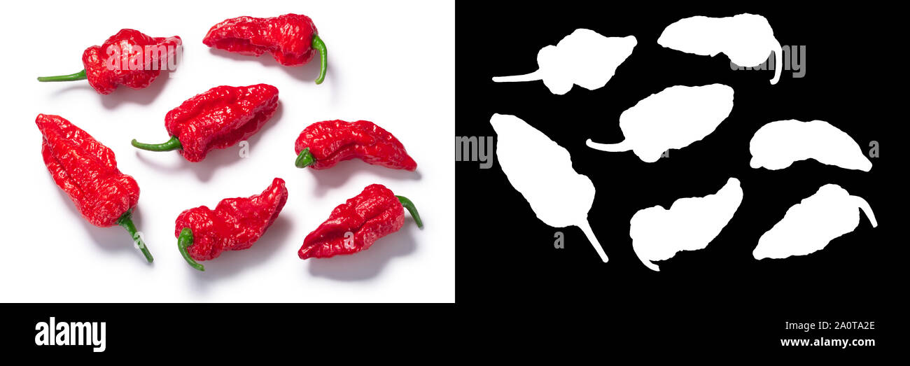 Fatalii pepper (Capsicum chinense fruit), wrinkled whole pods, isolated ...