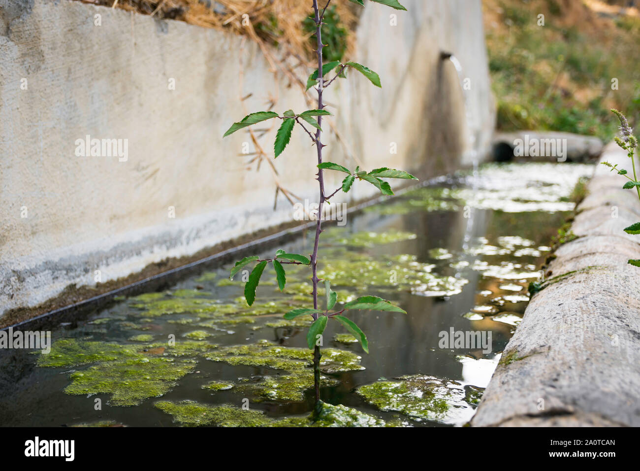 Granada travel nature hi-res stock photography and images - Alamy