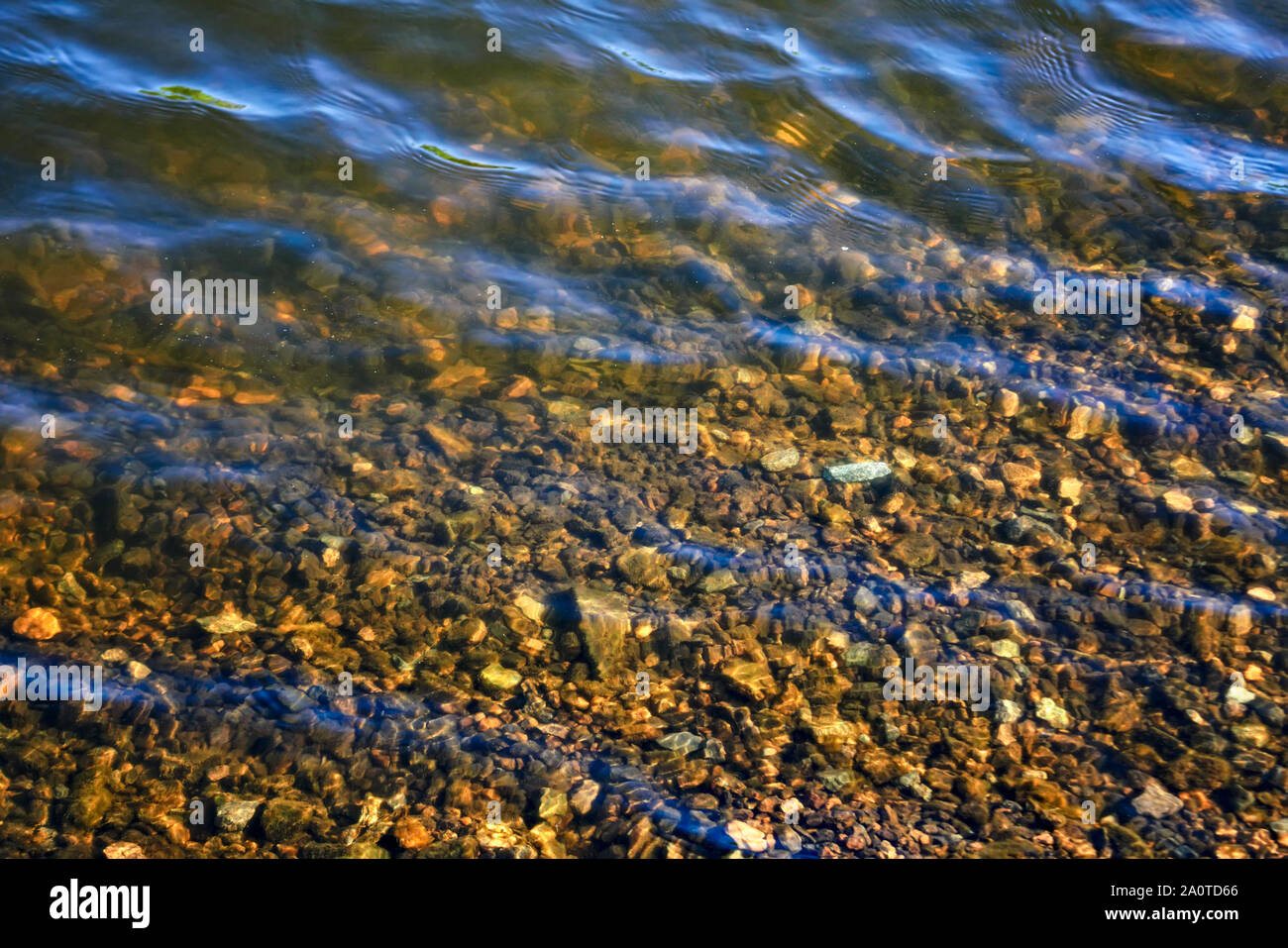 Natural water texture in the summer on a sunny day. Natural ripples on ...