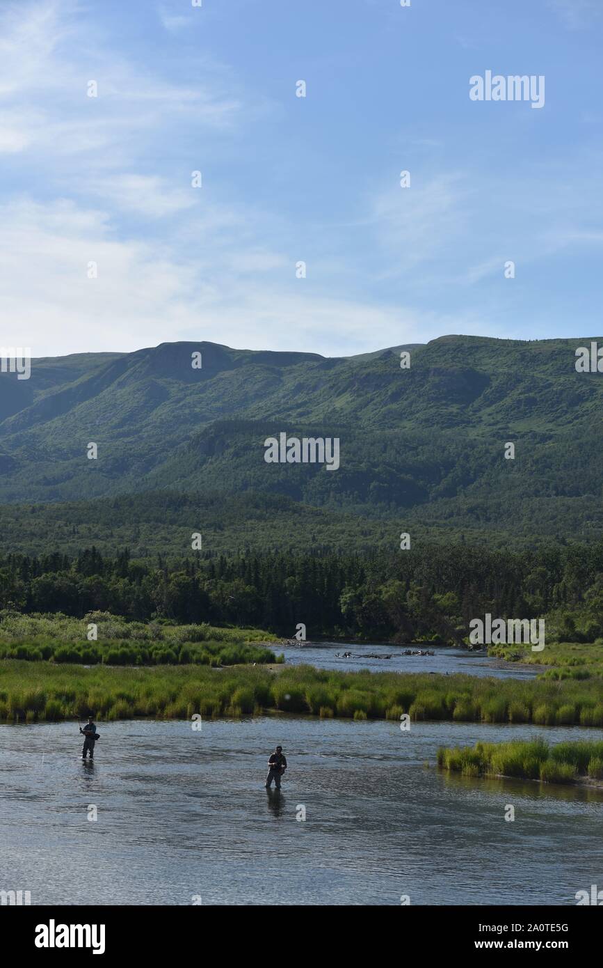 Cutthroat Trout High Resolution Stock Photography and Images - Alamy