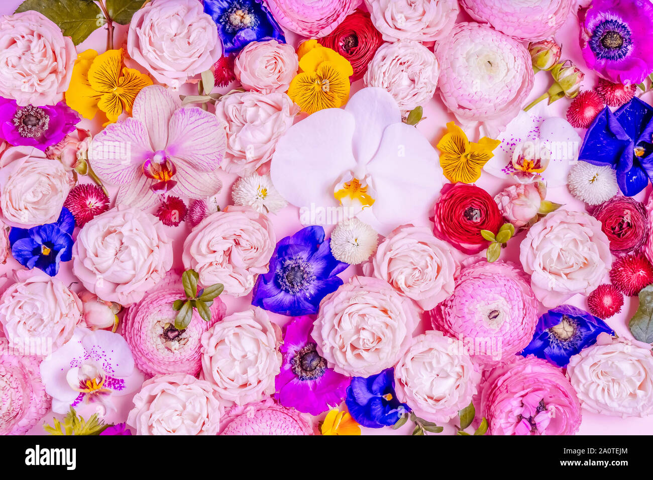 Flowers composition. Floral texture made of roses, orchids and ...
