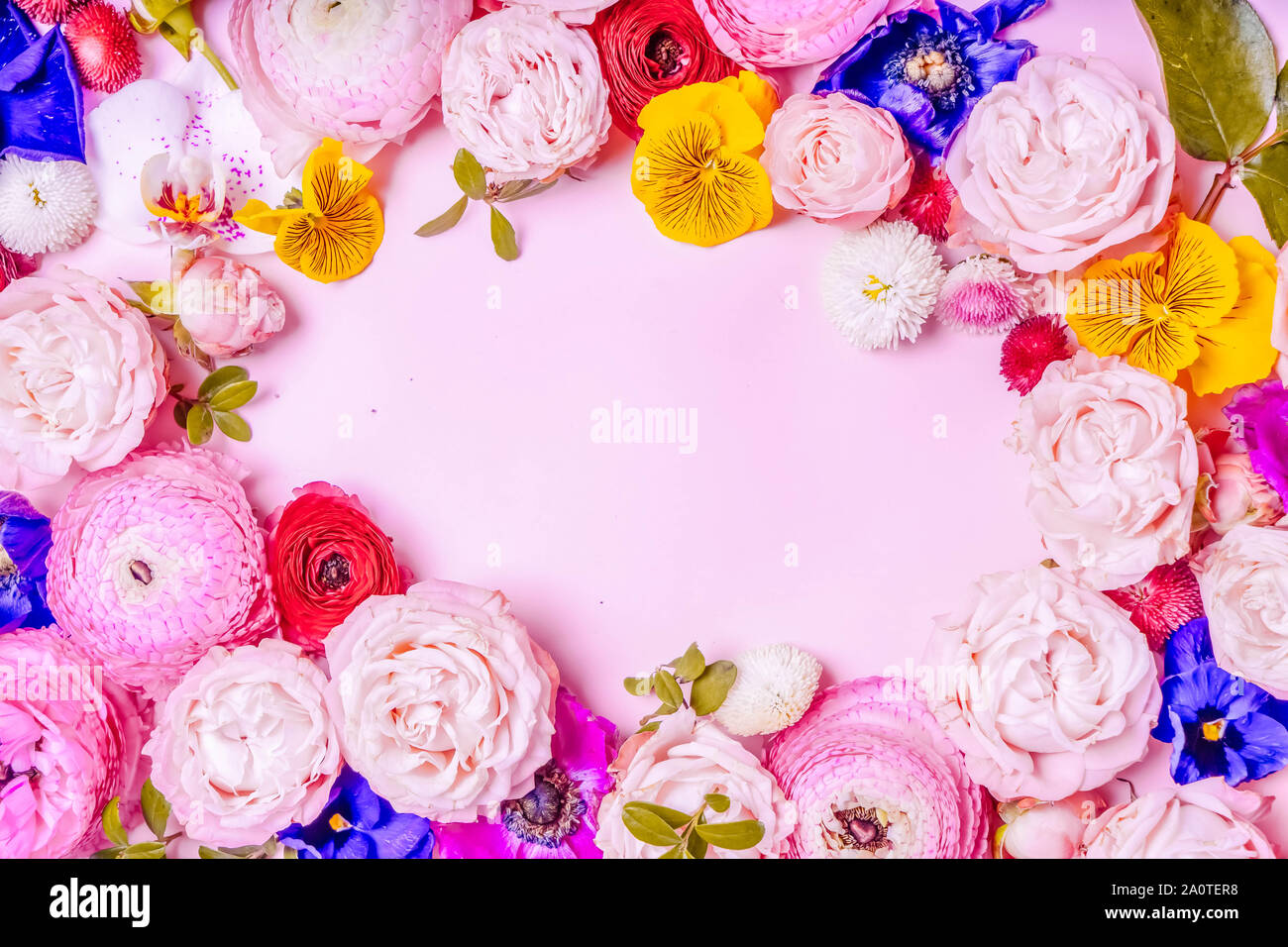 Flowers composition. Frame made of roses, orchids and ranunculus ...