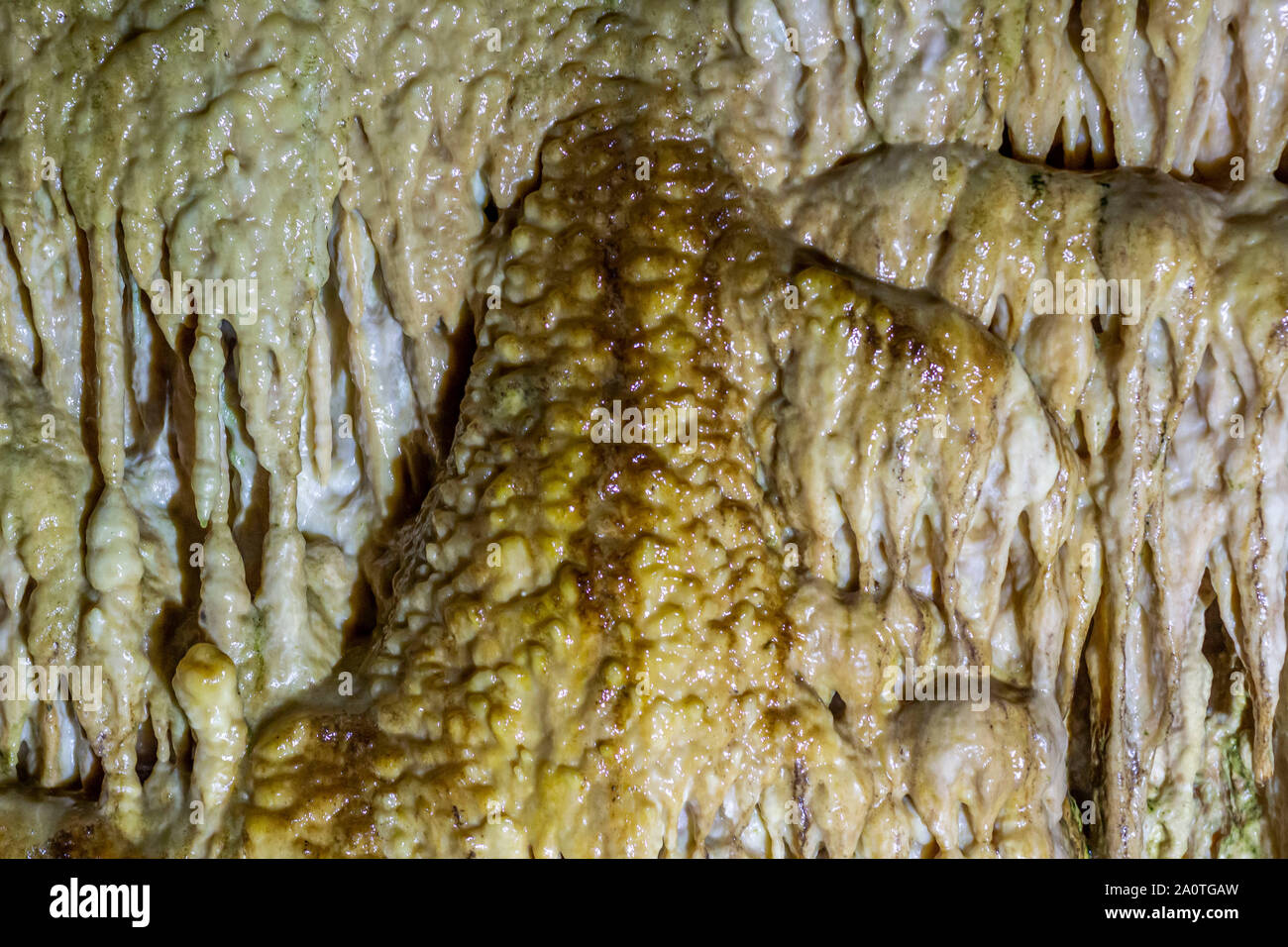 Interior view of Karaca cave located in Cebeli Village,Torul Town ...