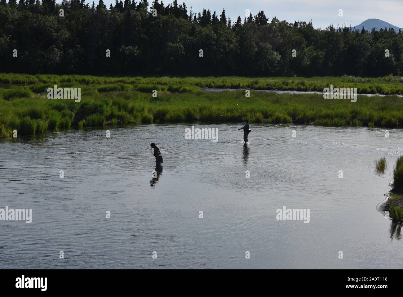 Cutthroat trout hi-res stock photography and images - Alamy