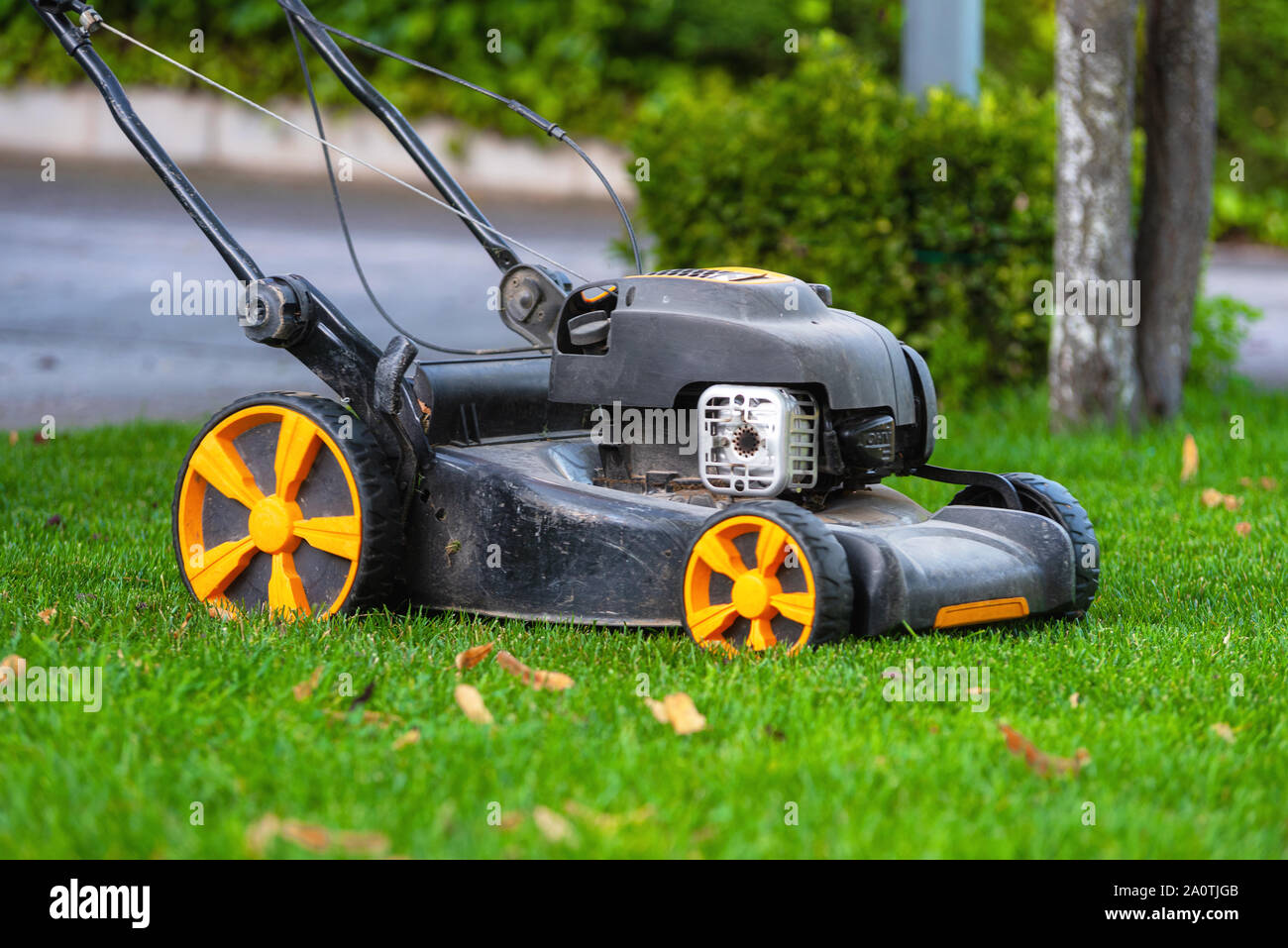 Lawn mower cutting the grass. Gardening activity Stock Photo - Alamy