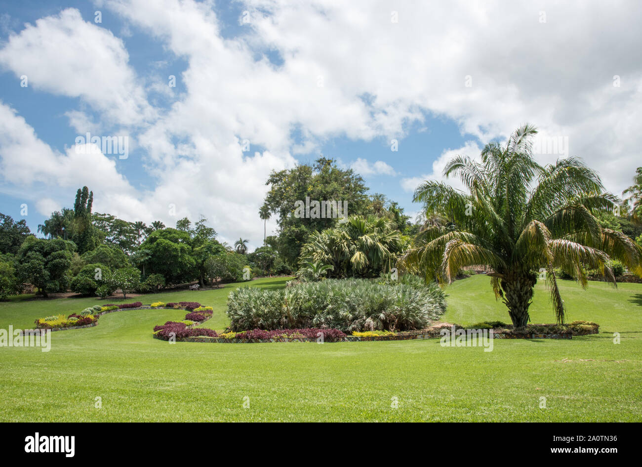 Beautiful garden hillside with tropical flowers and lush trees under a ...