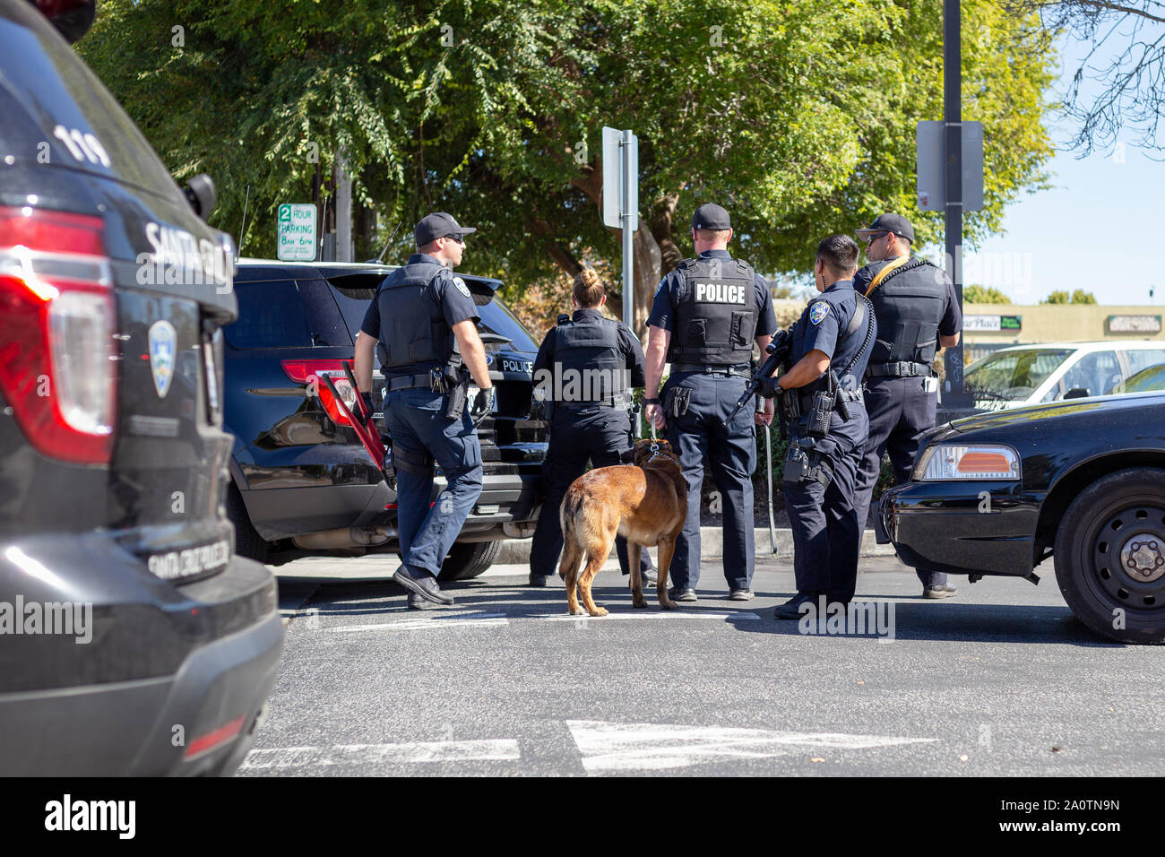 Police Officers stand beside their patrol vehicles Stock Photo - Alamy