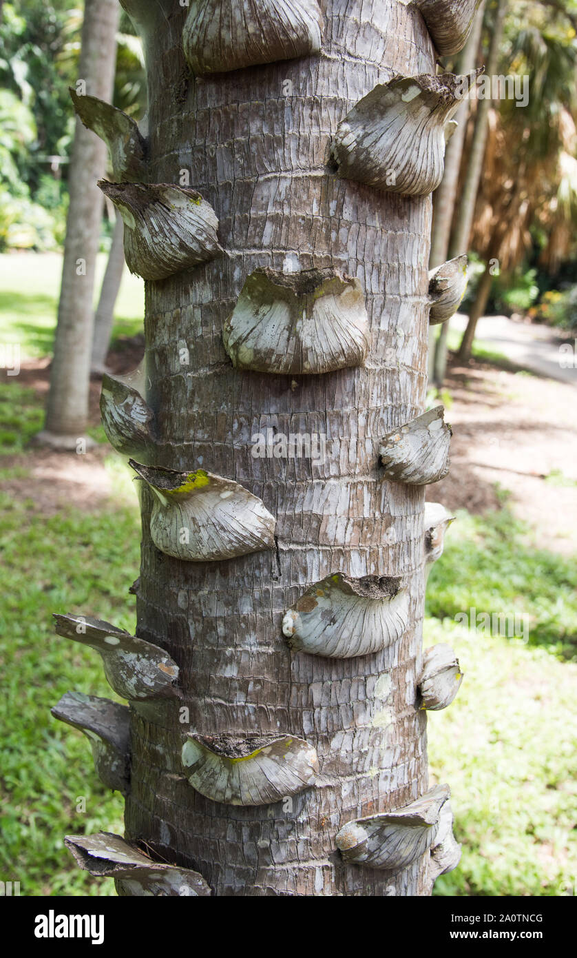 Foreground Texture High Resolution Stock Photography and Images - Alamy