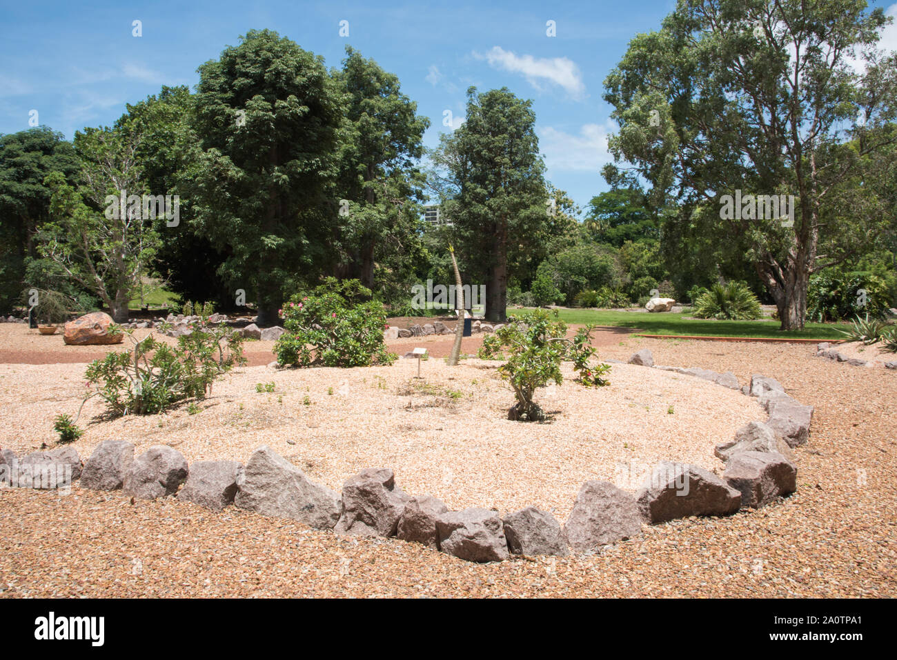 Darwin,NT,Australia-November 30, 2017: Cacti garden at George Brown ...