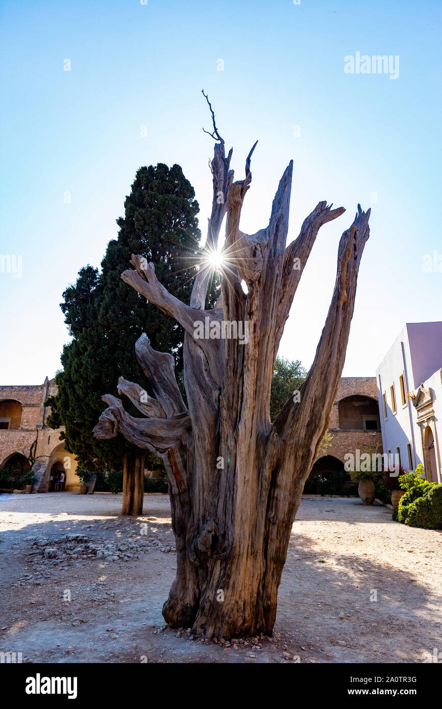 Greece cypress hi-res stock photography and images - Alamy
