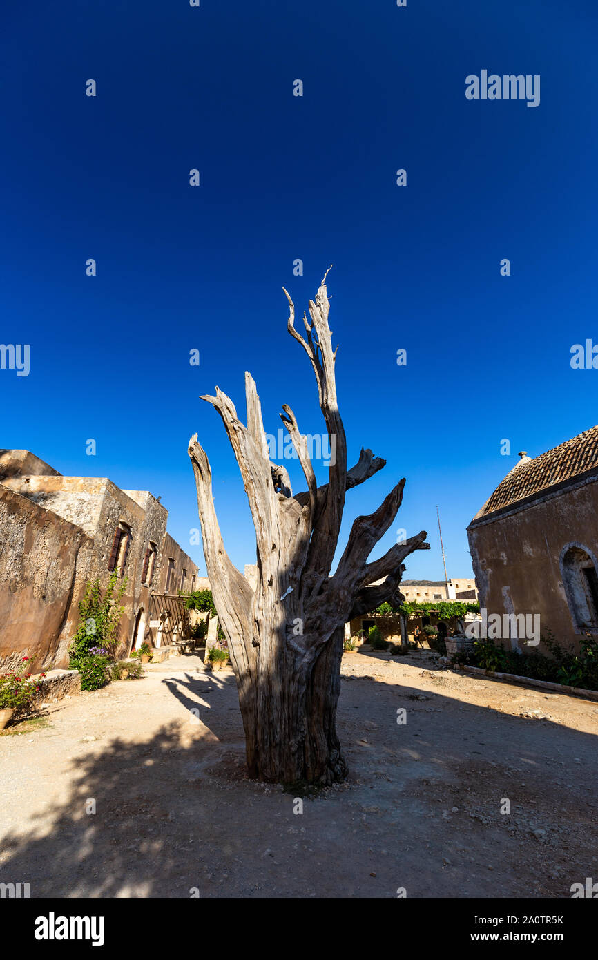Greece cypress hi-res stock photography and images - Alamy