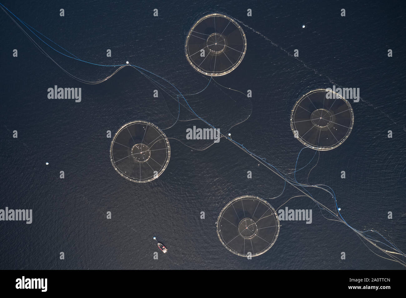 Fish farm salmon marine sea nets farming at Loch Fyne Scotland UK Stock ...