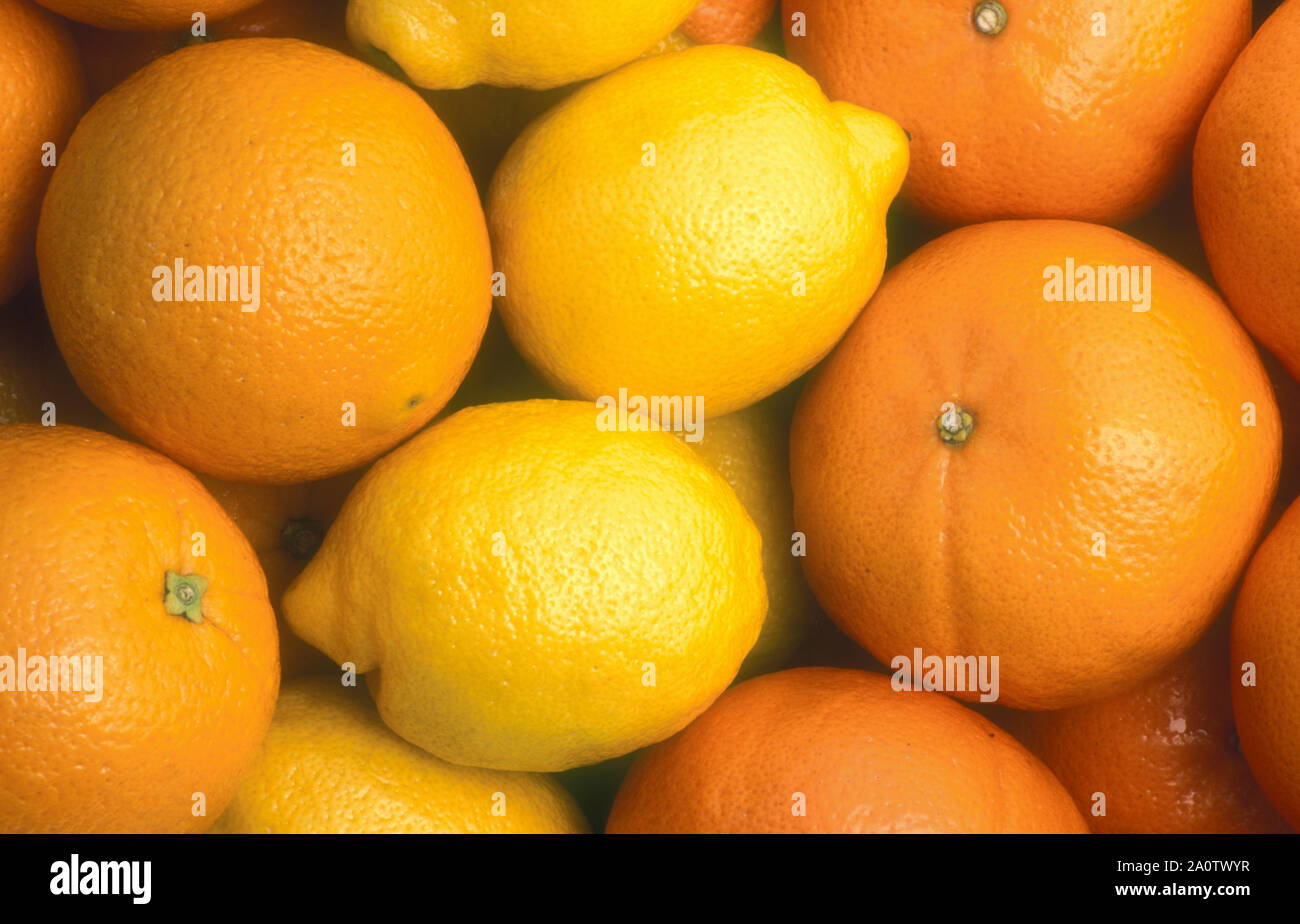 Mandarins Or Navel Oranges at Stephanie Post blog