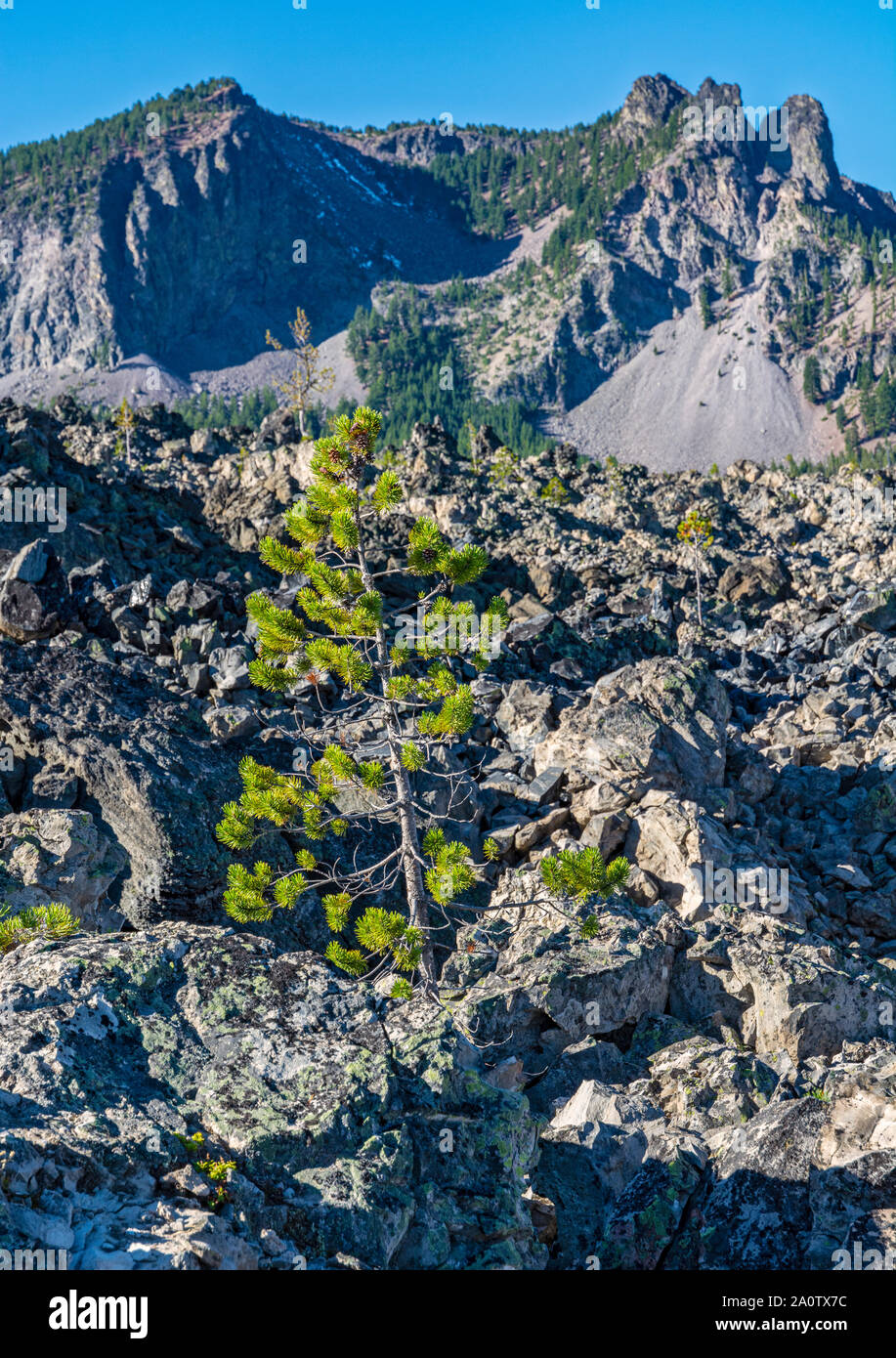 Oregon, Newberry National Volcanic Monument, Big Obsidian Flow Trail Stock Photo - Alamy
