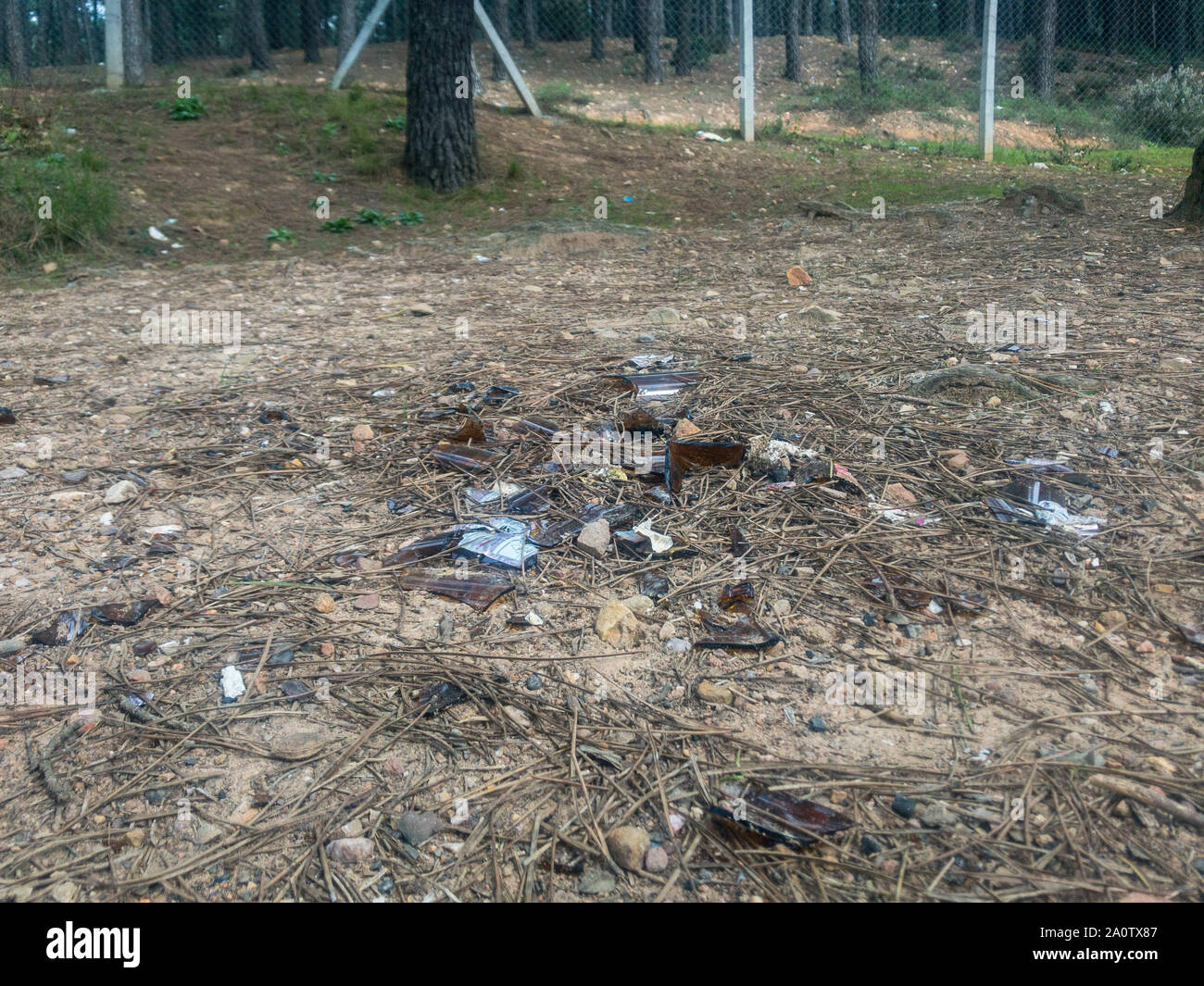 Environmental pollution in forests Stock Photo - Alamy