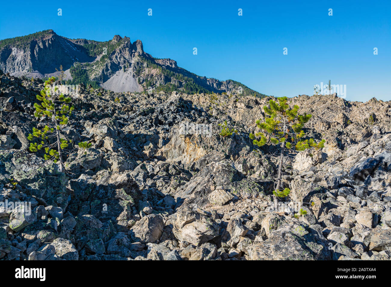 Oregon, Newberry National Volcanic Monument, Big Obsidian Flow Trail Stock Photo - Alamy