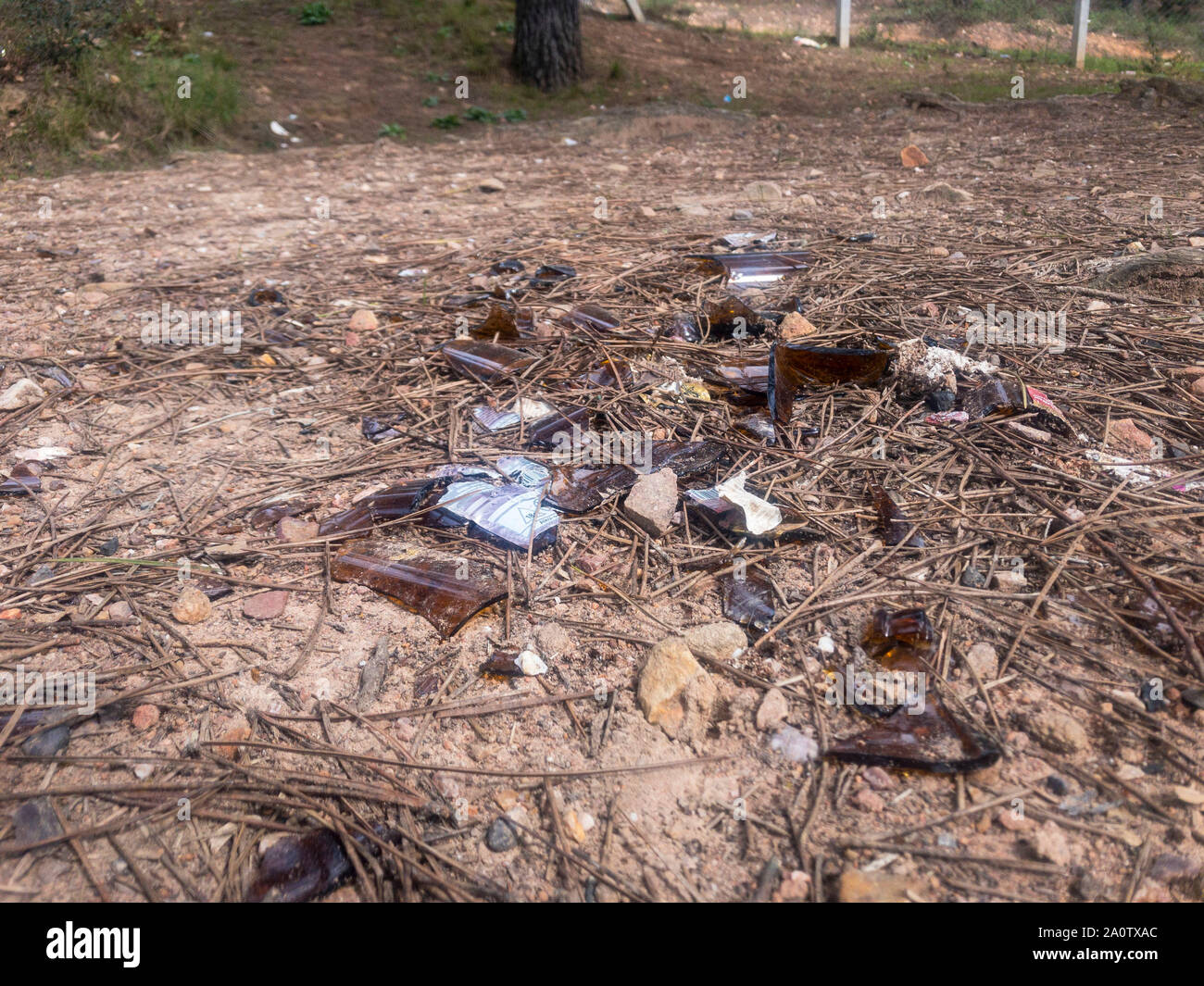 Environmental pollution in forests Stock Photo - Alamy