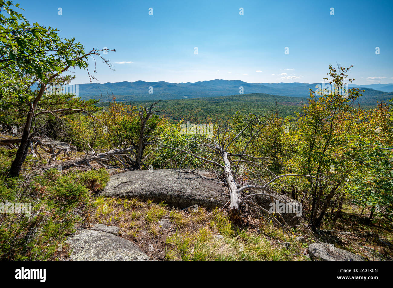Adirondack mountain range from the summit of Clark Mountain Stock Photo ...