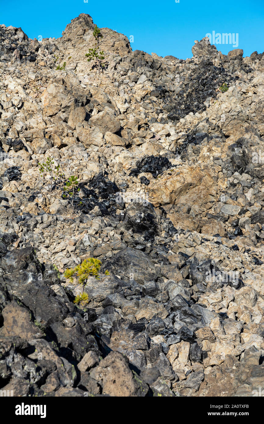 Oregon, Newberry National Volcanic Monument, Big Obsidian Flow Trail Stock Photo - Alamy