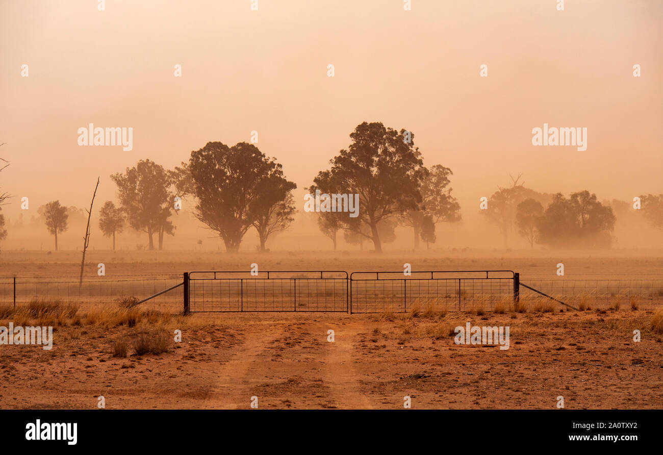 Drought soil hi-res stock photography and images - Alamy
