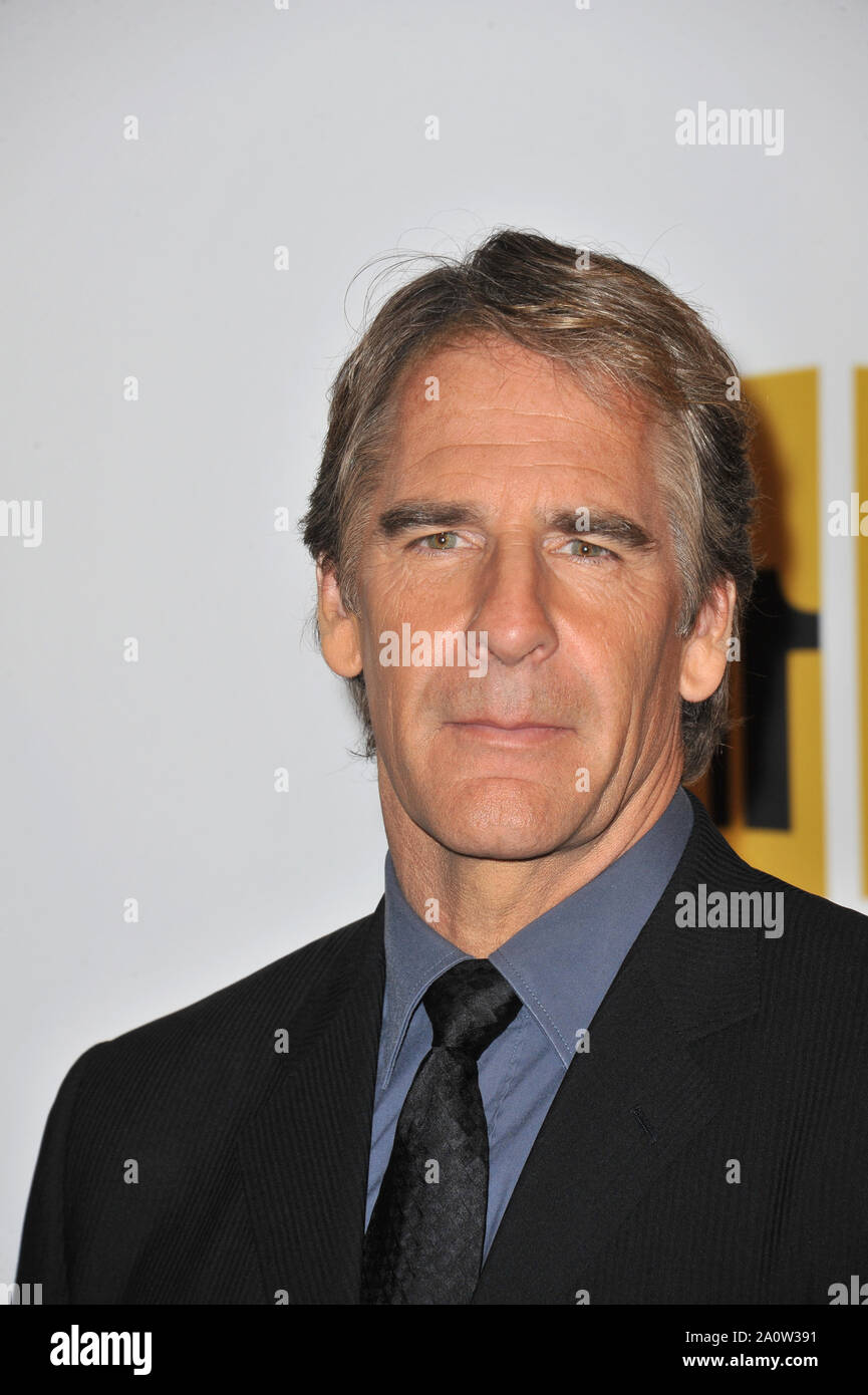 Scott bakula portrait hi-res stock photography and images - Alamy