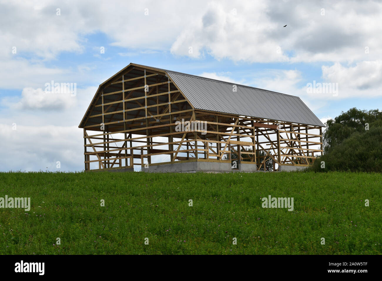 Barn under construction framed and partially complete on a farm in a ...