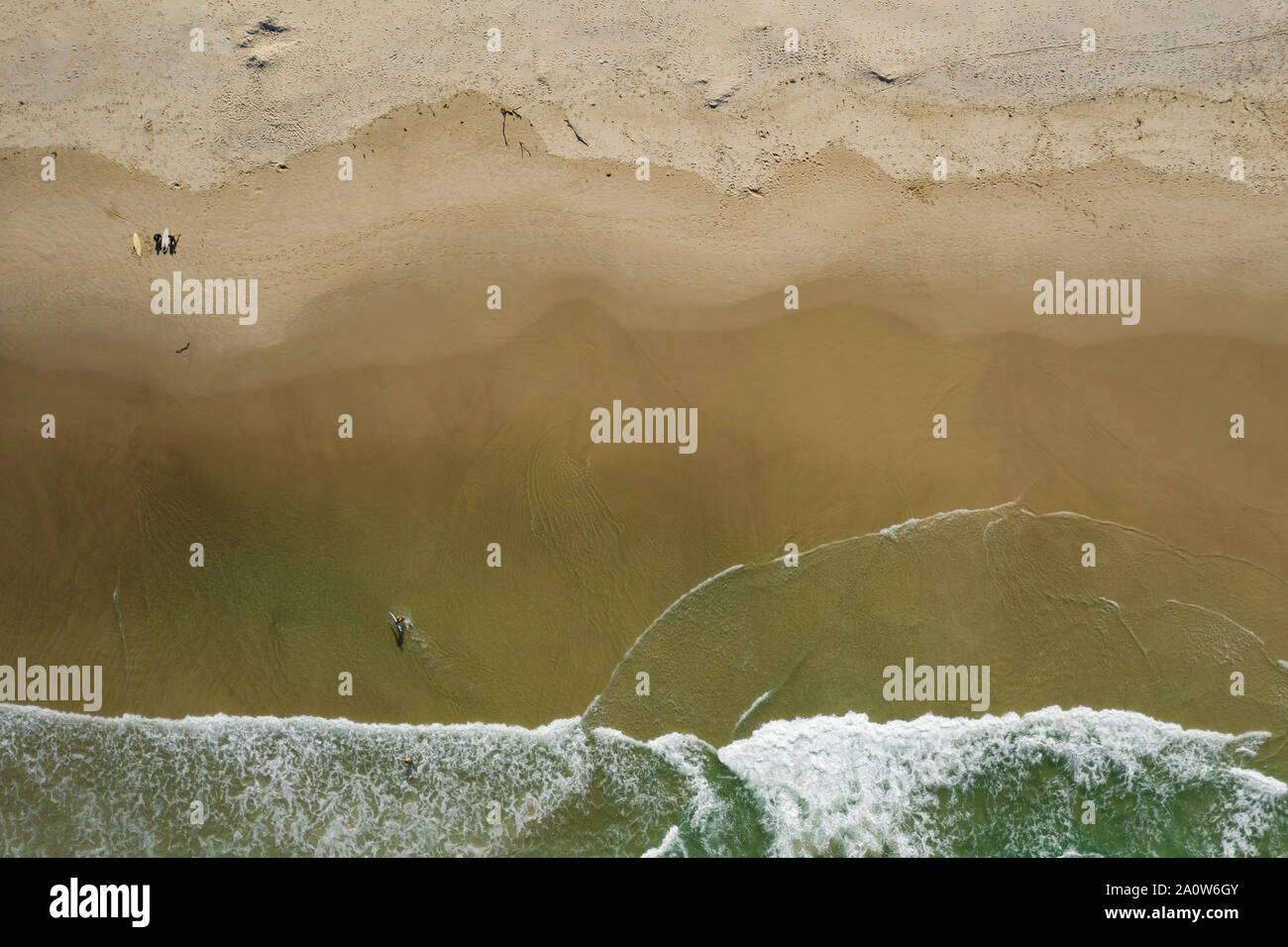 Straight line swimming hi-res stock photography and images - Alamy