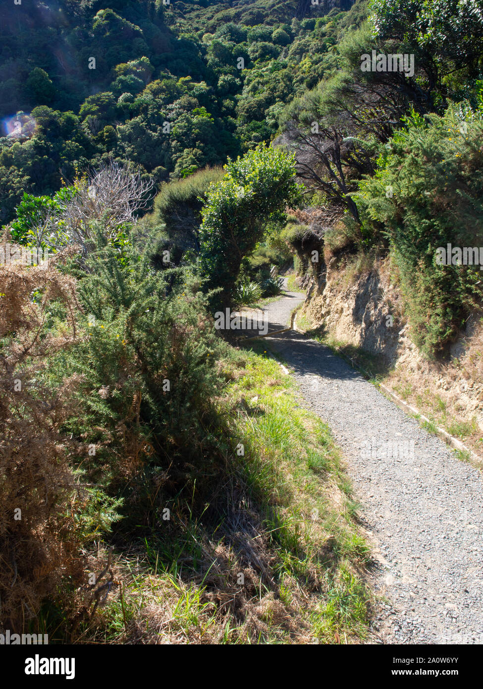 Hike track hi-res stock photography and images - Alamy