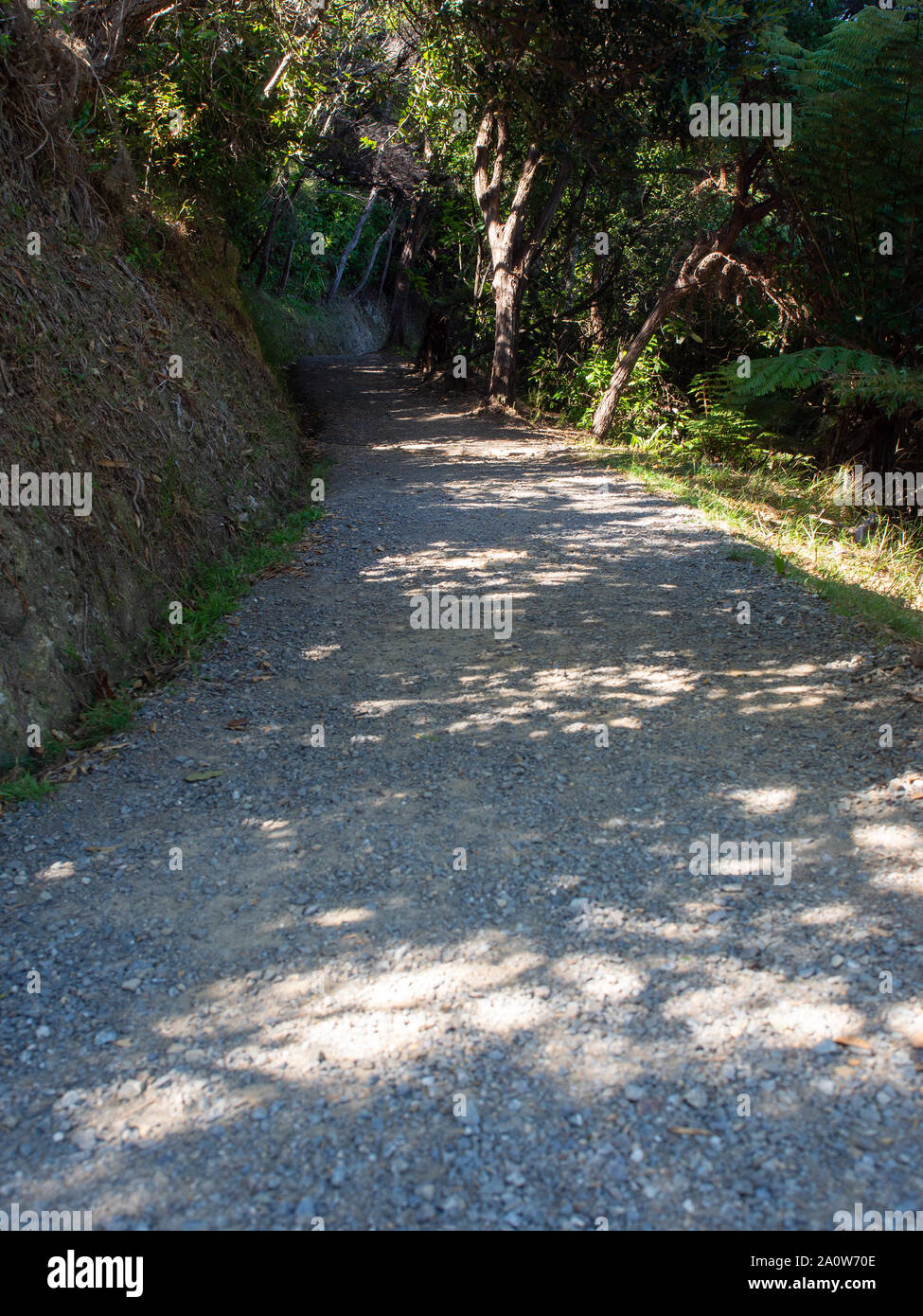 The Walking Track On A Summers Day Hike Stock Photo - Alamy