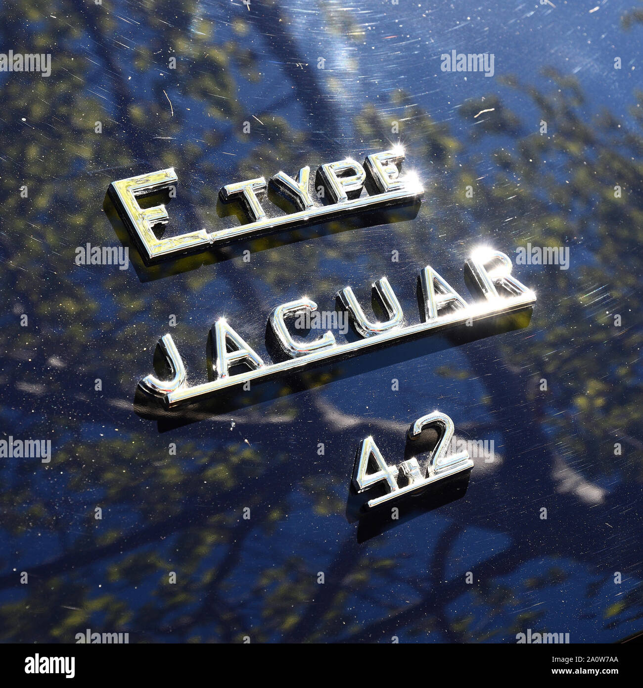 E-Type Jaguar name plate Stock Photo - Alamy