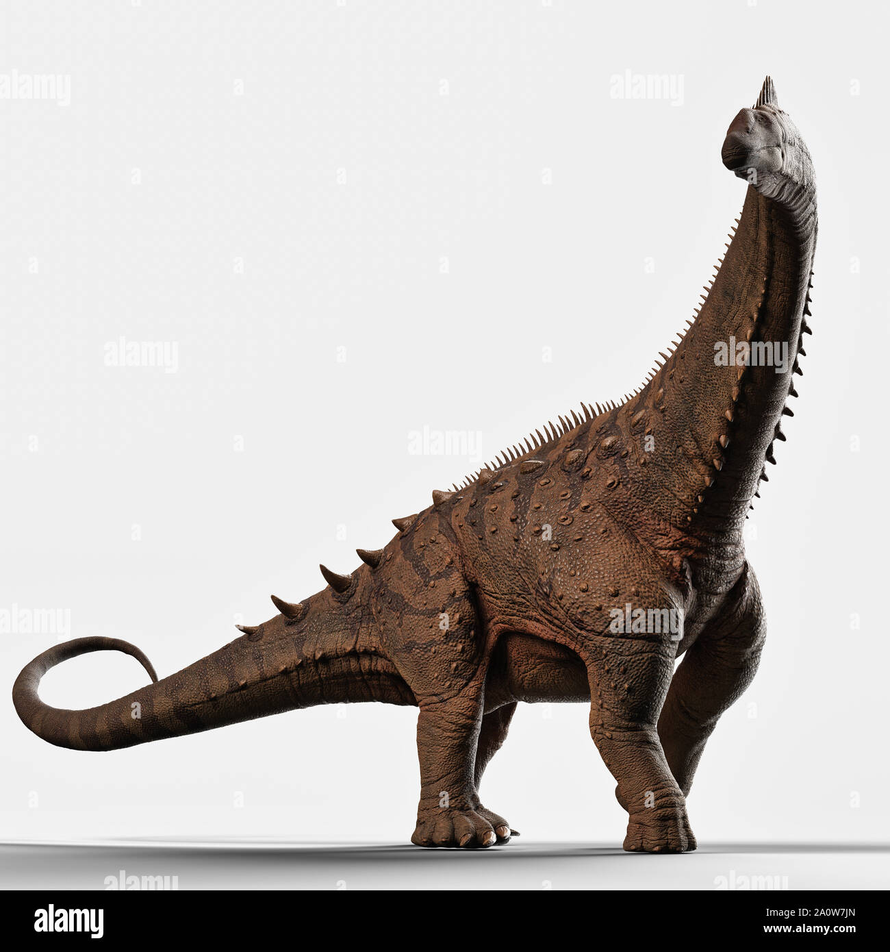 Alamosaurus illustration against a solid white background Stock Photo ...