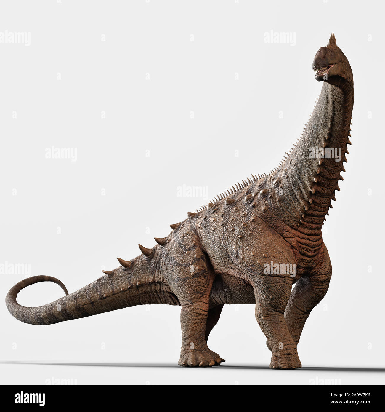 Alamosaurus illustration against a solid white background Stock Photo ...